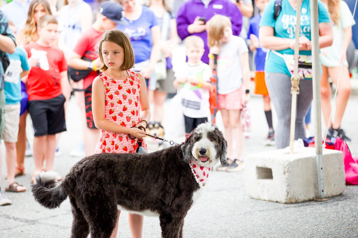 Pet Pageant Ashland Strawberry Faire pet-pageant-ashland-strawberry-faire